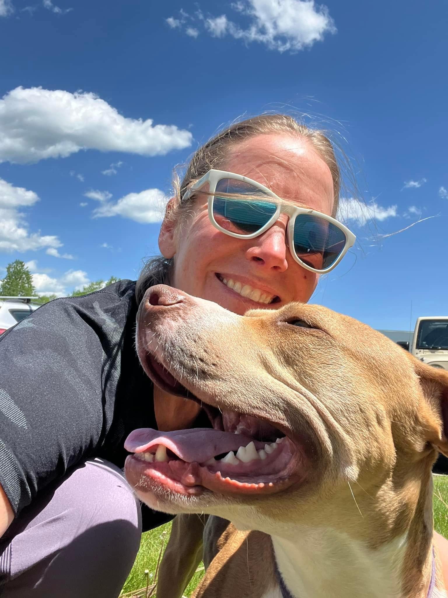 Starlight, our mini hippo, is available for adoption